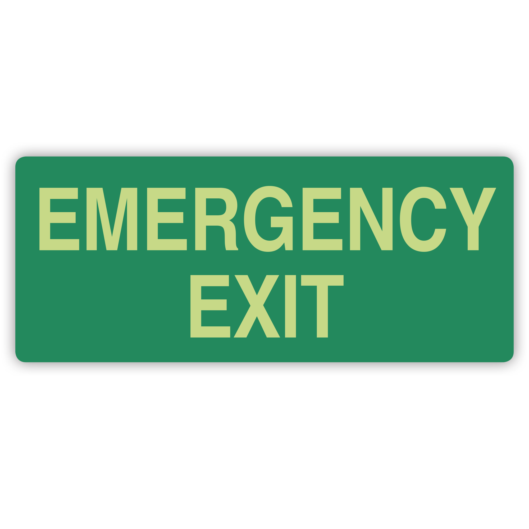EMERGENCY EXIT